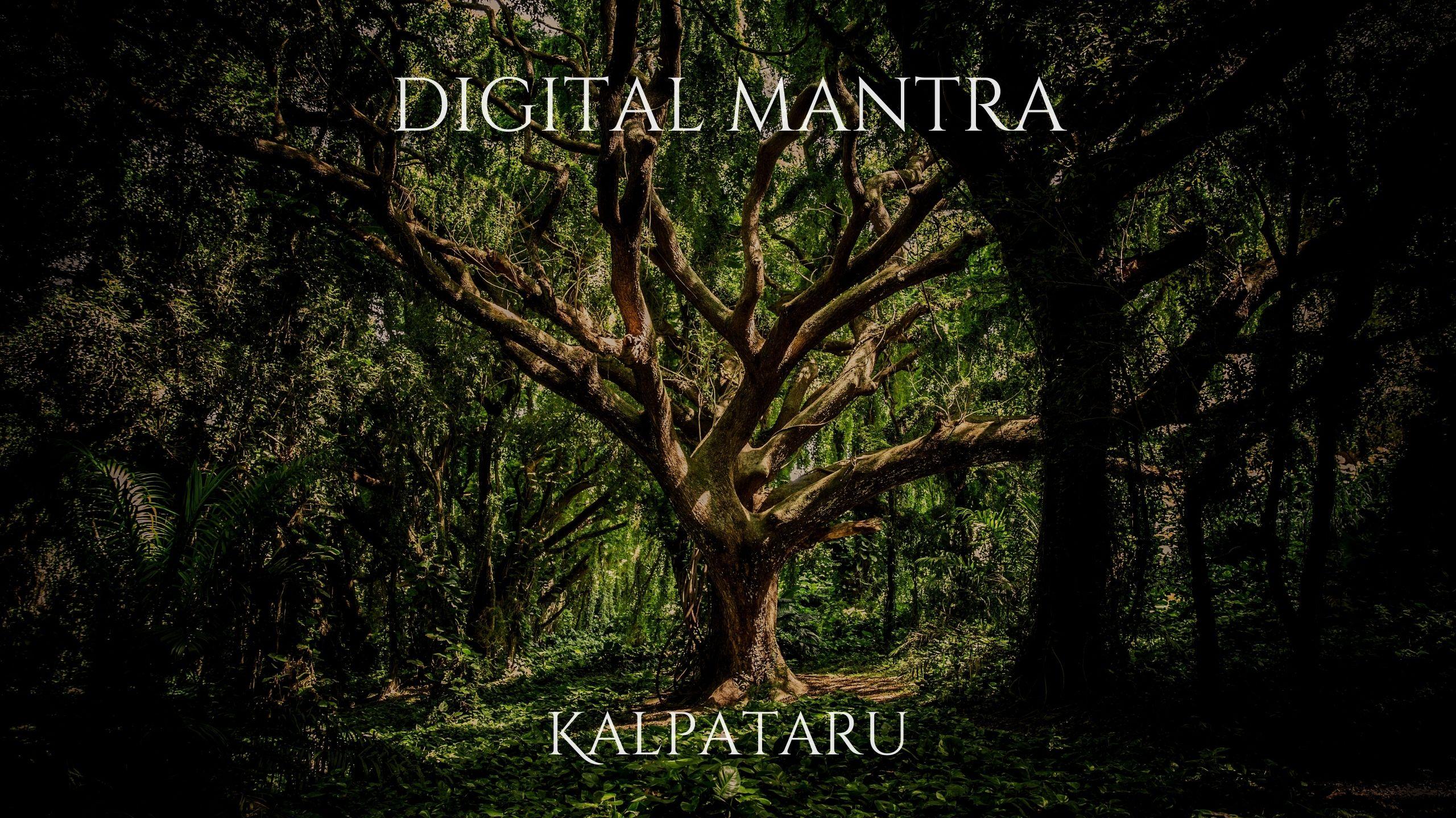 Kalpataru – Connect With Spirit Guide | Digital Mantra - Maestro Media