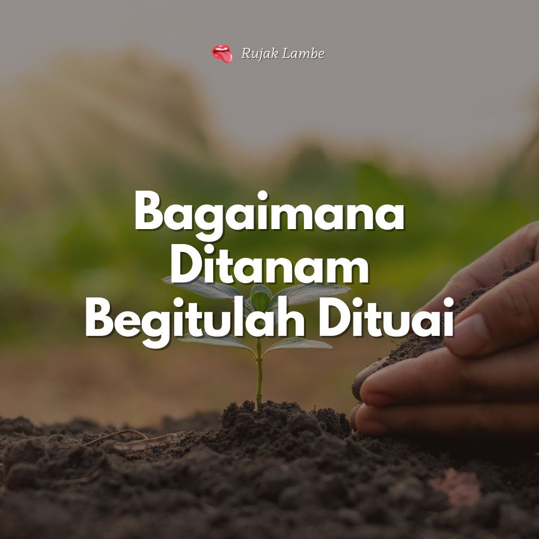 Arti Peribahasa Bagaimana Ditanam Begitulah Dituai - Maestro Media